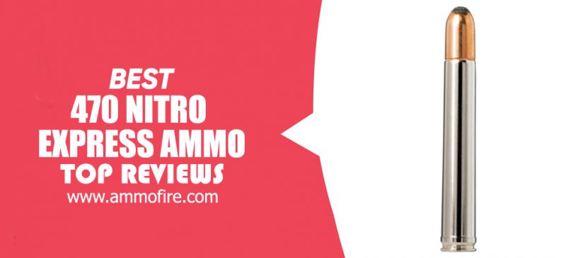 Take Down Big Game with the Best 470 Nitro Express Ammo