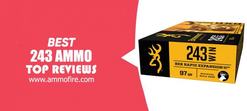 The Ultimate Guide to the Best 243 Ammo for Hunting and Shooting