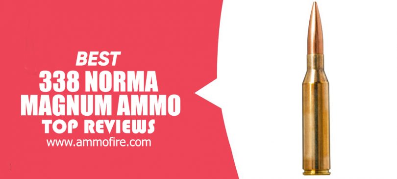 A Comprehensive Guide to the Best 338 Norma Magnum Ammo for Precision ...