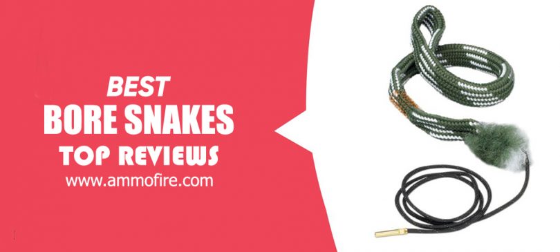 Clean Your Firearm Quickly and Efficiently with the Best Bore Snakes ...