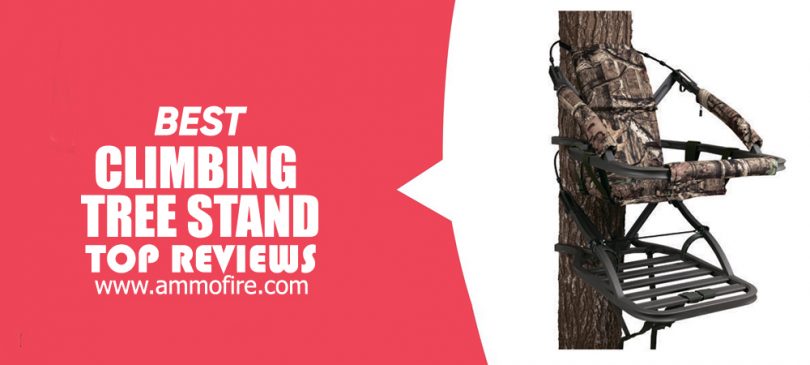 Best Climbing Tree Stand - Hunt with Ease and Safety | Top 30 Climbing ...